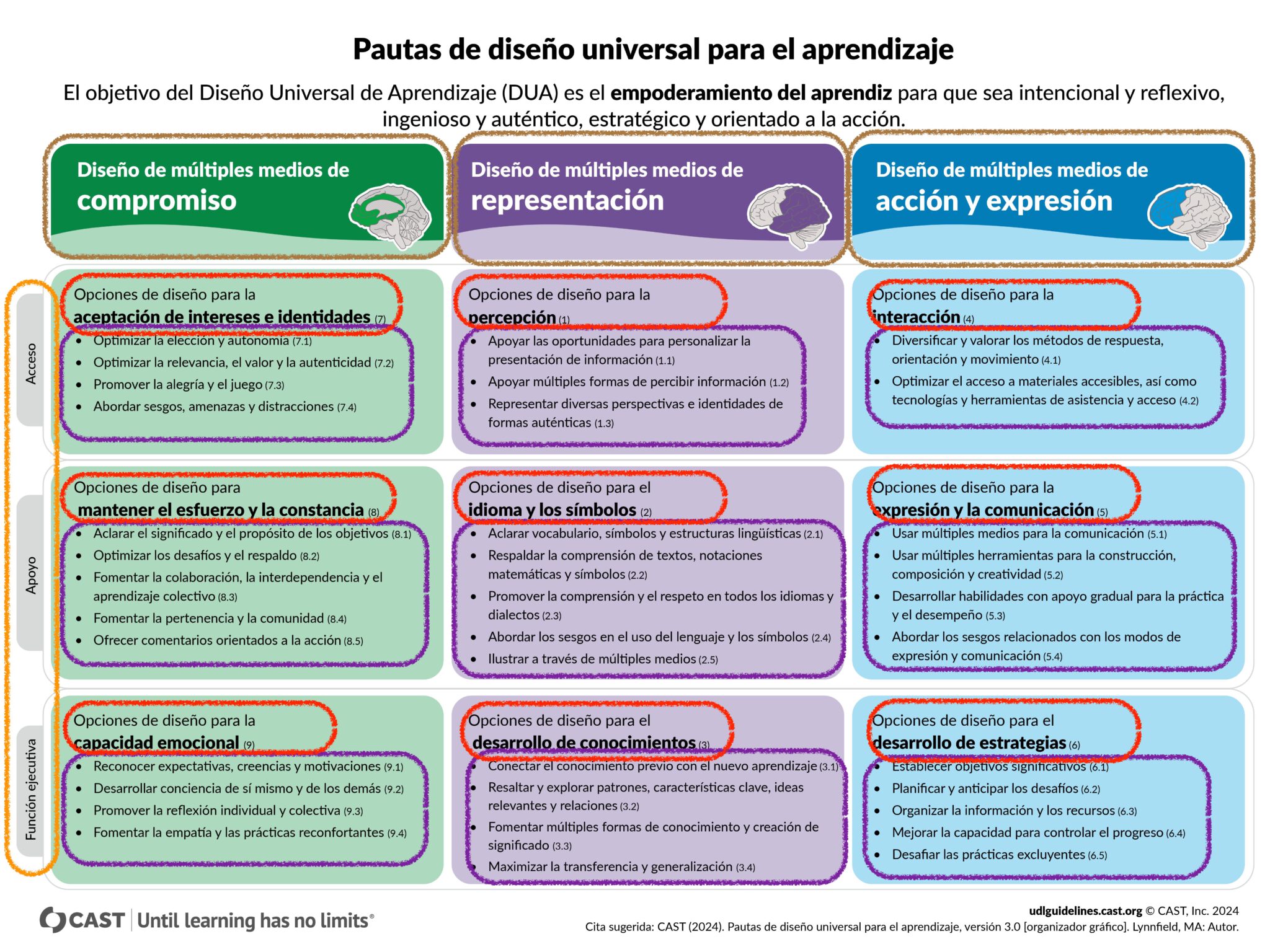 Revisión del DUA 3.0 - Camino Derecho a la Inclusión